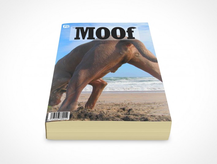 Standing Paperback Book Mockup 5 is a mockup for your designs