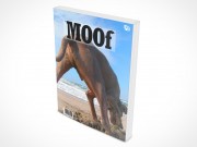 Paperback Book Mockup | High angle front view of book rotated 30° to left