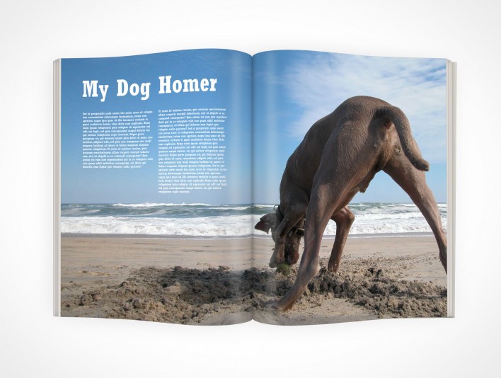 Magazine Mockup Top View Folded Pages in Magazine Catalog