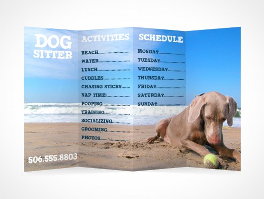 Share your design ideas with our Four Fold Flyer Mockup 1