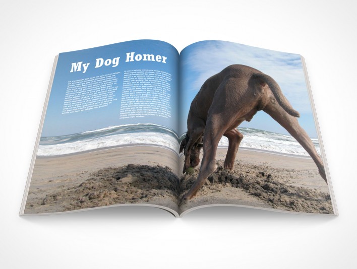 Preview 2 page layouts with this Full Spread Magazine Mockup 7