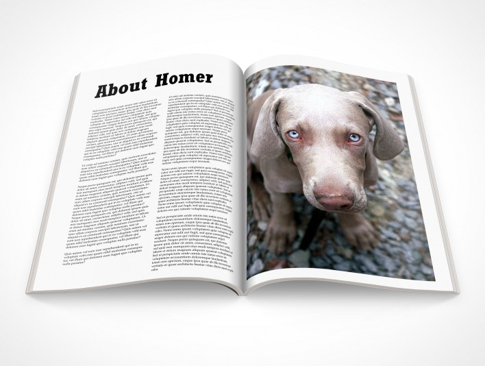 Preview 2 page layouts with this Full Spread Magazine Mockup 7