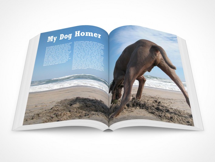 Paperback Book Mockup | High angle view of open book spread