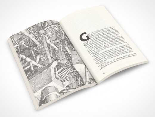 This Octavo Paperback Book Mockup 27 showcases book layout