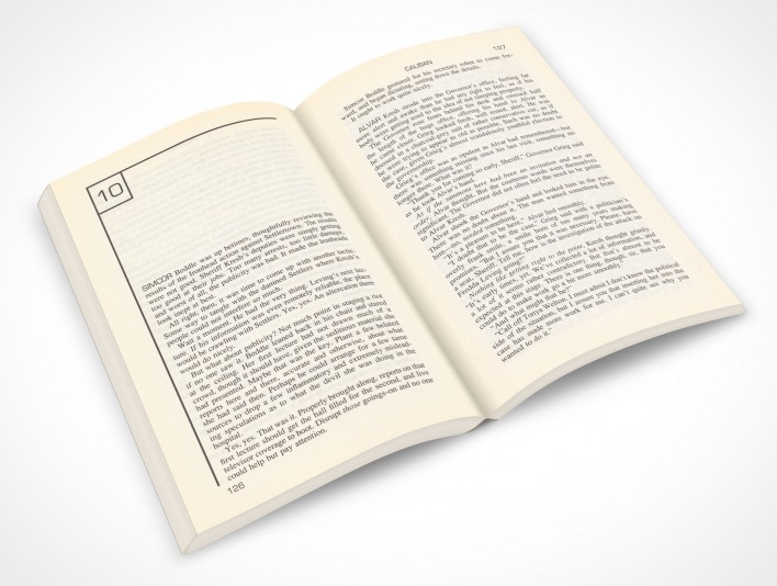 This Octavo Paperback Book Mockup 27 showcases book layout