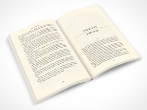 This Octavo Paperback Book Mockup 27 showcases book layout