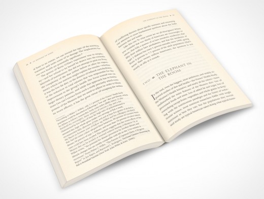 This Octavo Paperback Book Mockup 27 showcases book layout